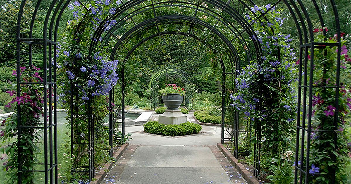 Rights and Reproductions | Dixon Gallery & Gardens