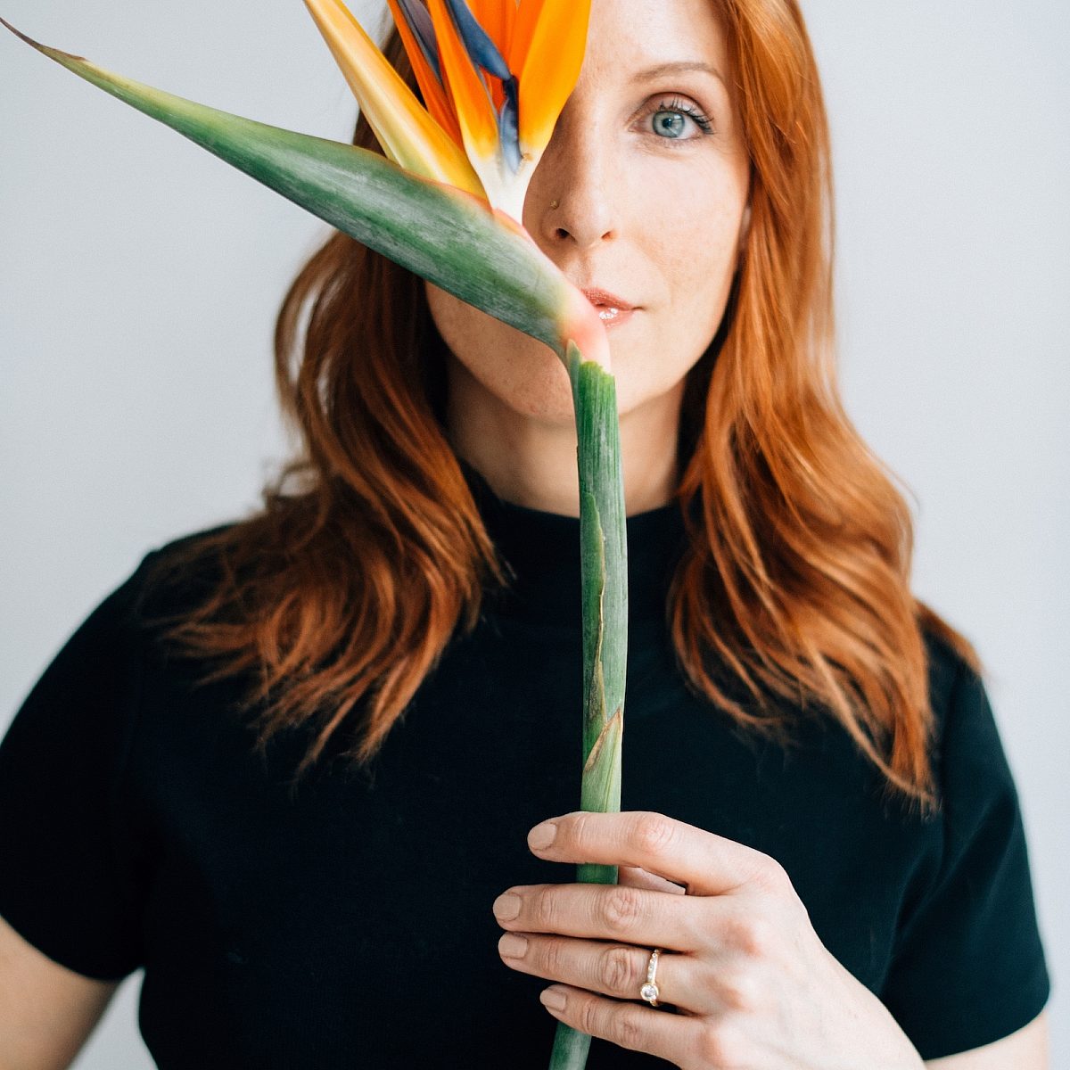 Art Museum, Gardens, and Event Venue | Dixon Gallery & Gardens