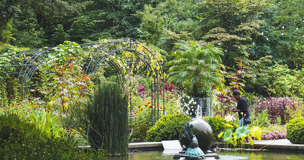 Tour the Gardens | Dixon Gallery & Gardens
