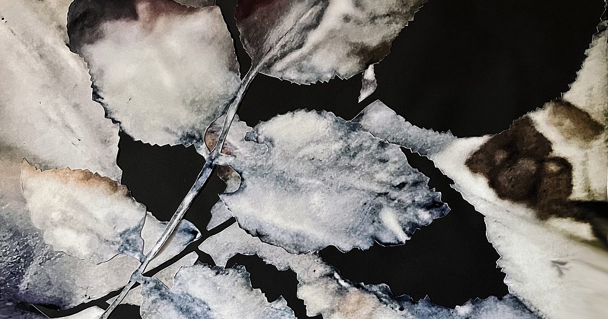 Mary K VanGieson: Chasing the Ephemeral | Dixon Gallery & Gardens