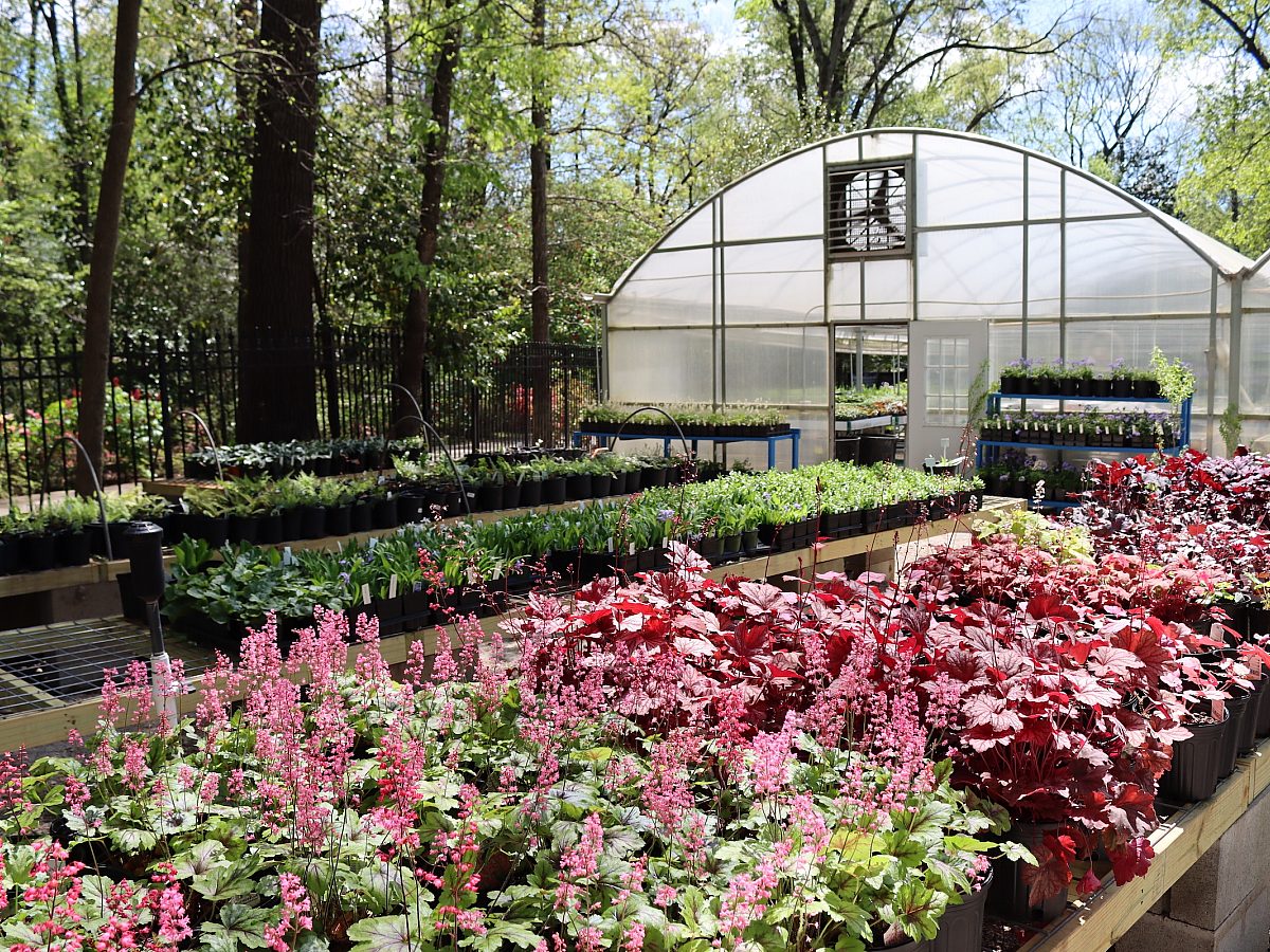 Explore Fine Art & Horticulture | Dixon Gallery & Gardens