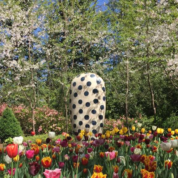 What's Blooming | Dixon Gallery & Gardens