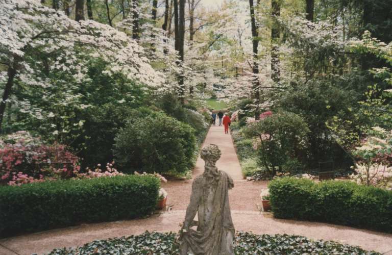 Dixon Gallery & Gardens 50th Anniversary |… | Dixon Gallery & Gardens