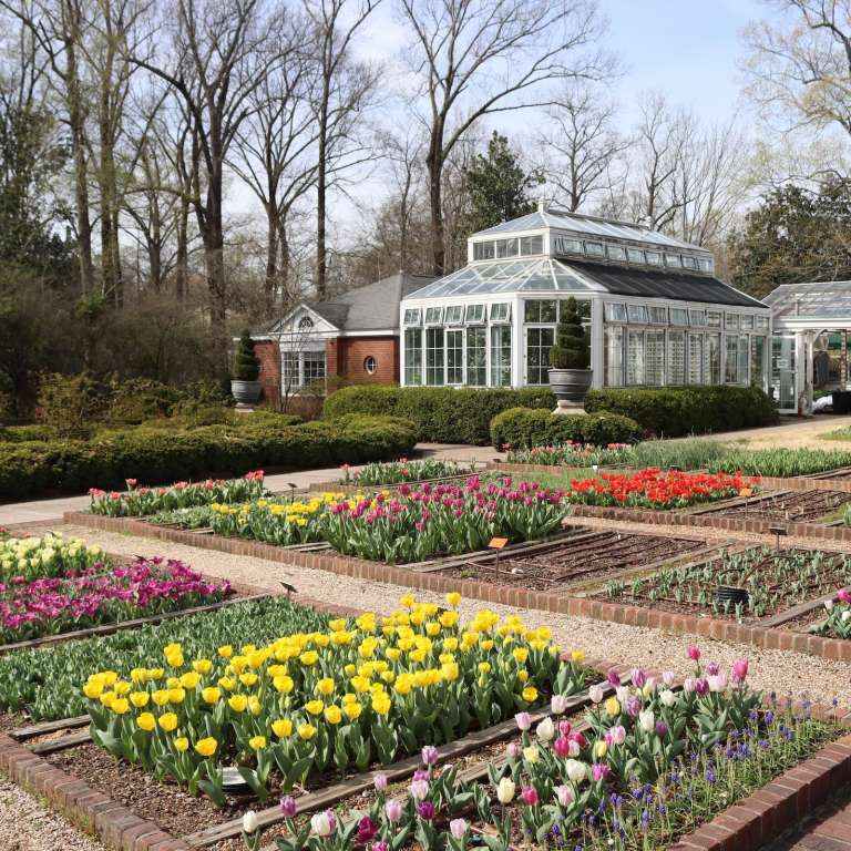 Explore Fine Art & Horticulture | Dixon Gallery & Gardens