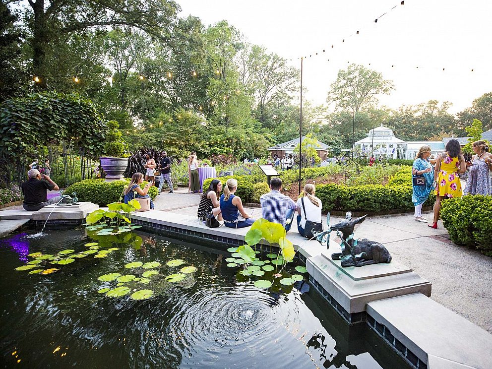 Become a Member | Dixon Gallery & Gardens