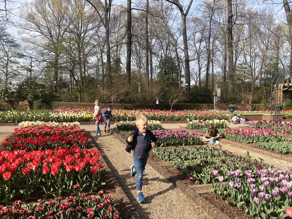 Plant Sale: Dixon Garden Fair | Dixon Gallery & Gardens
